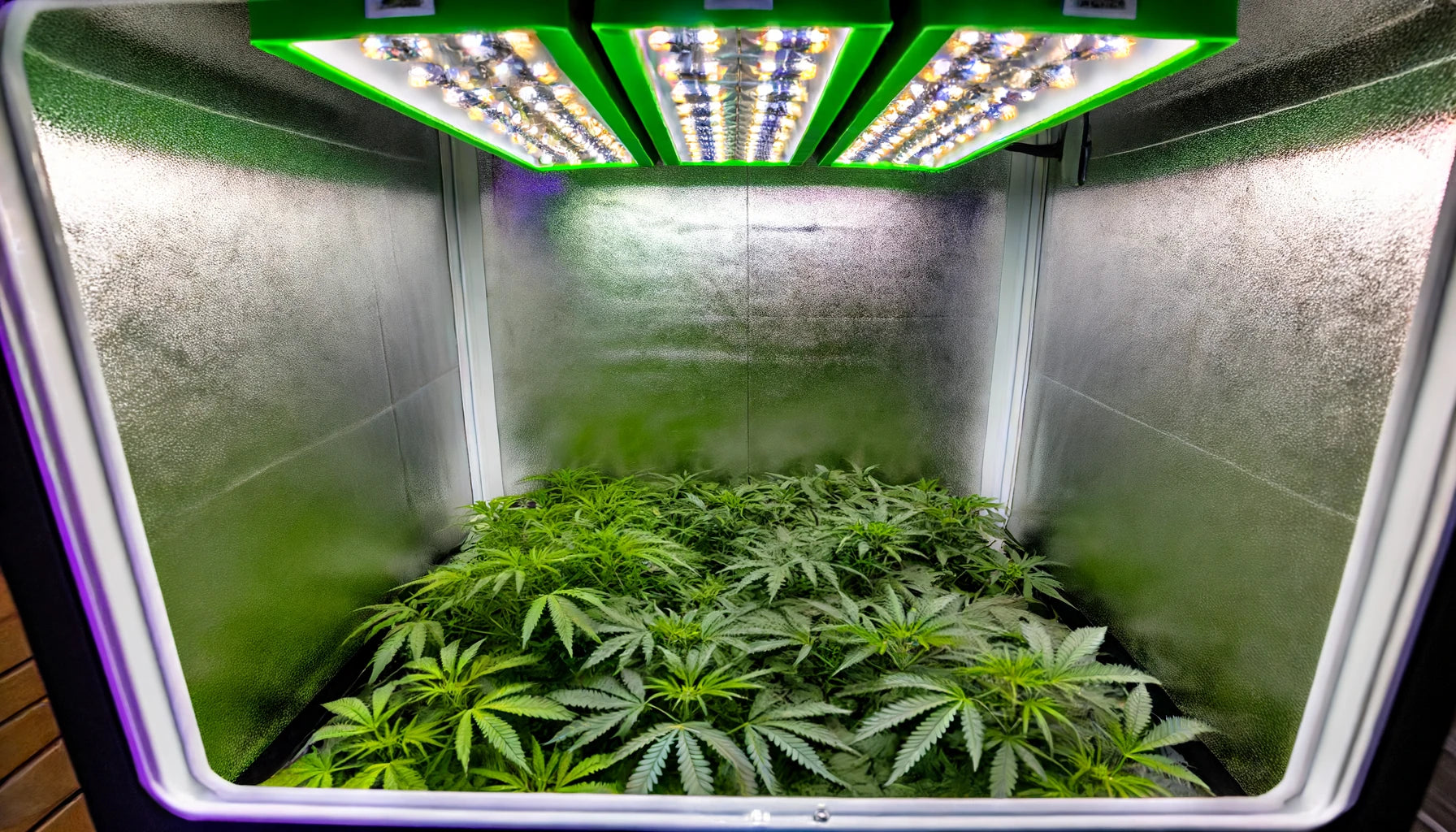 Die perfekte Growbox für deinen Grow | GoGrow.de